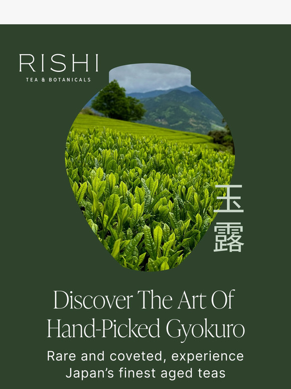 Rishi Tea: Taste Japan’s Rarest Gyokuro Teas 🌿 | Milled