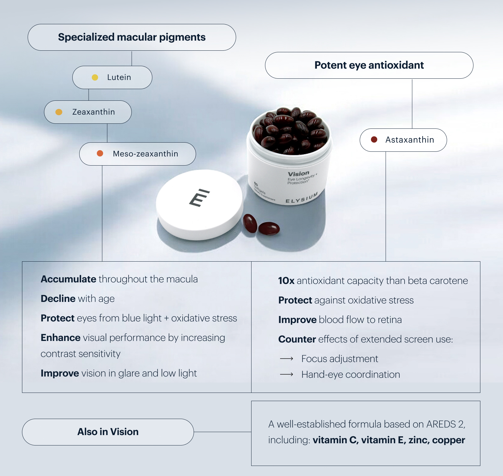 Elysium Health: What’s inside Vision? Take a look. | Milled