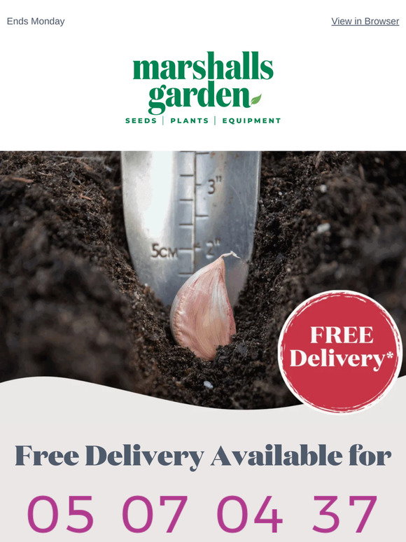 Marshalls Seeds: Keep growing this autumn with free delivery | Milled