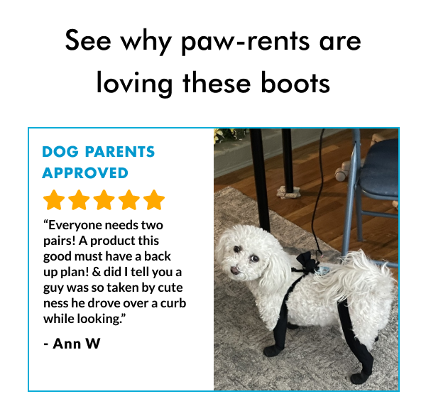 Walkee Paws: The dog parents have spoken | Milled