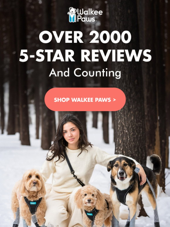 Walkee Paws: The dog parents have spoken | Milled