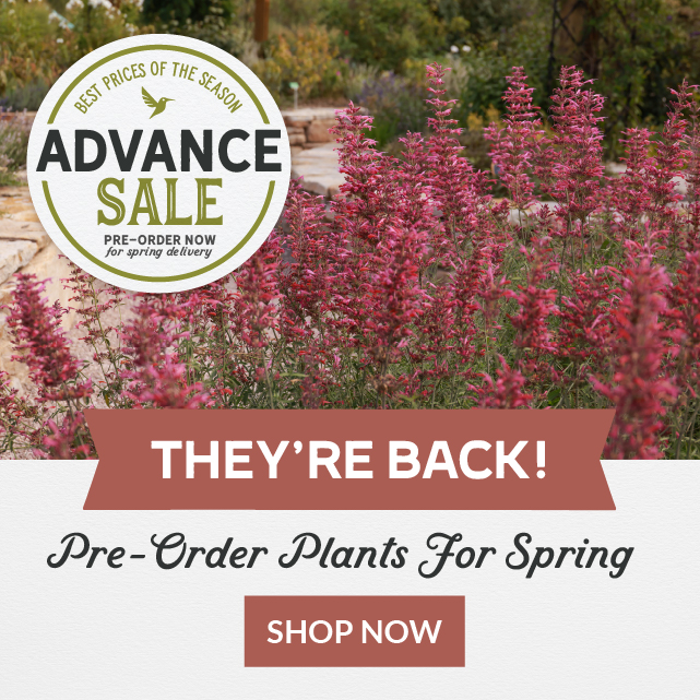 High Country Gardens: Now Available: Pre-Planned Gardens For Spring 2025 | Milled