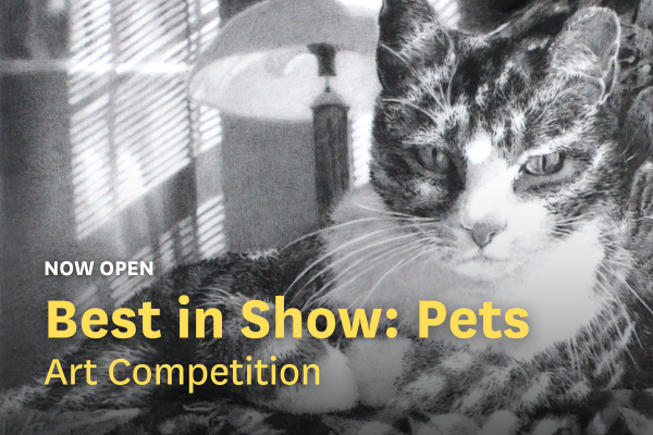 Artists Network: NOW OPEN! 🐾 Best in Show: Pets Art Competition | Milled