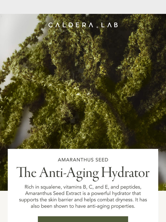 Caldera + Lab: Amaranthus: Your Skin’s Secret Weapon | Milled