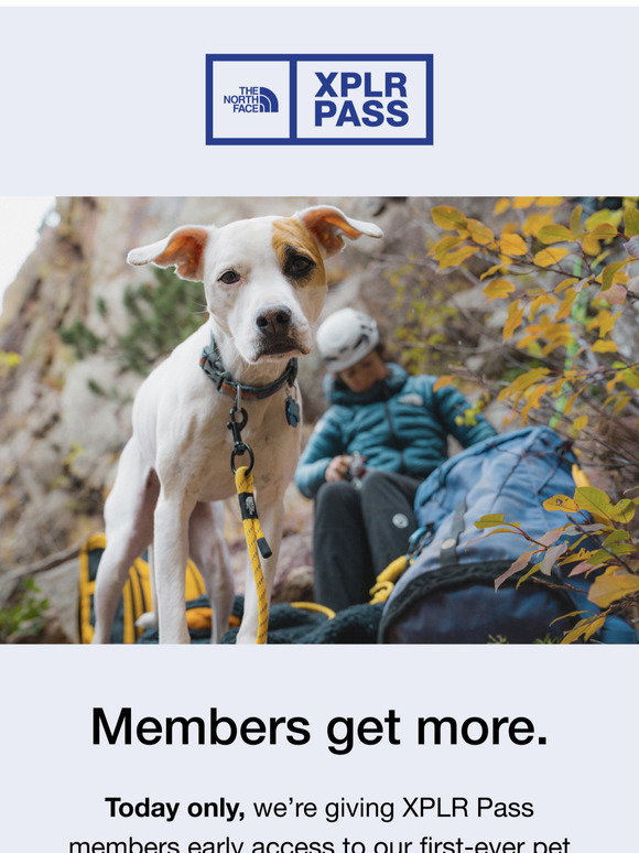 The North Face: Here is a gift for XPLR Pass members | Milled