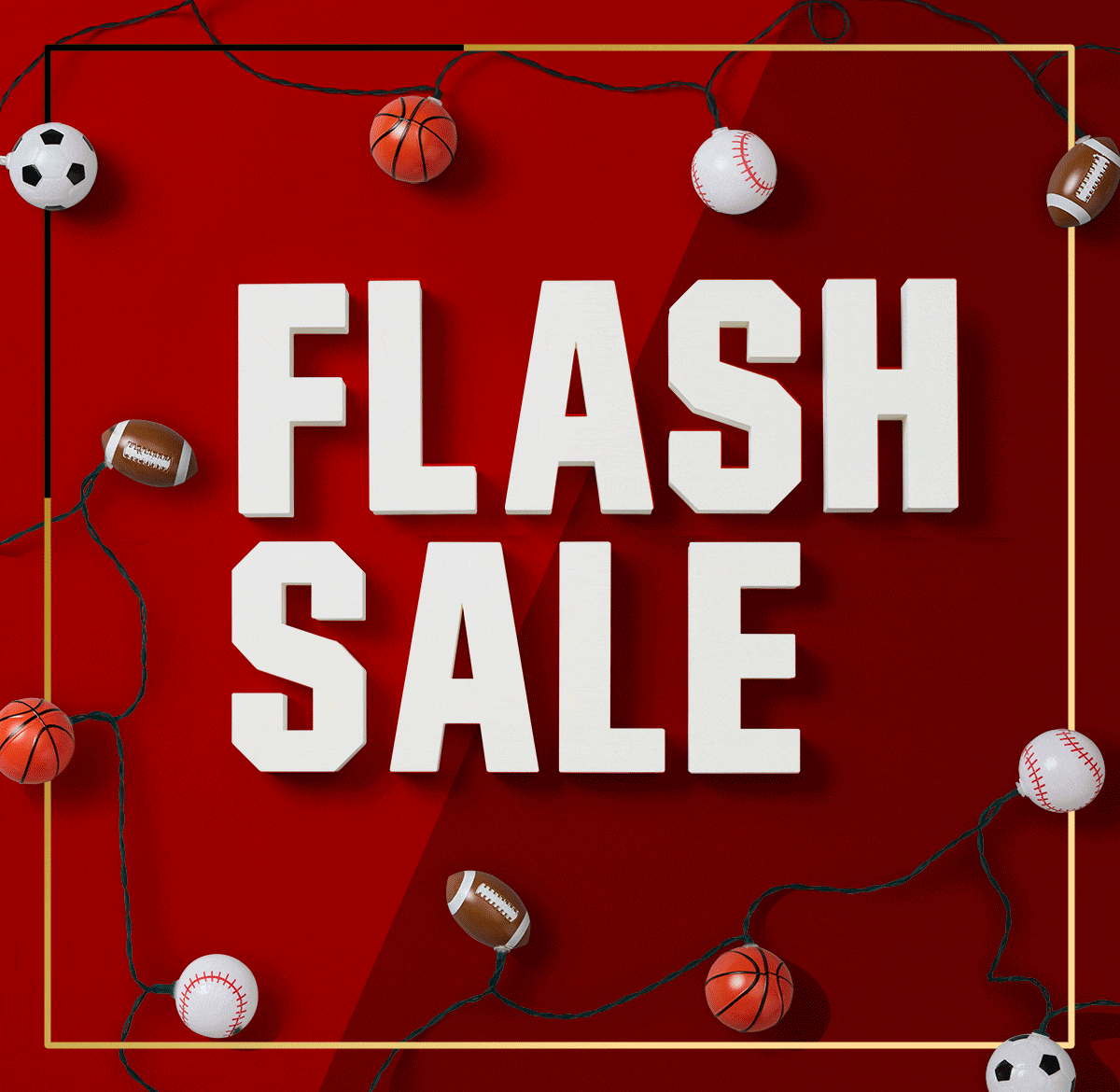 Dick's Sporting Goods: Our Flash Sale is HERE... | Milled