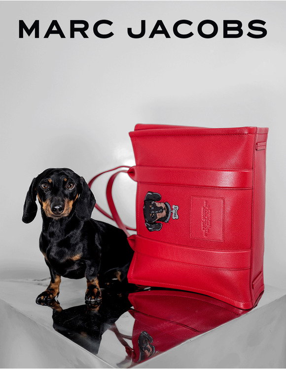 Marc Jacobs: Pet Portraits At The Westchester | Milled