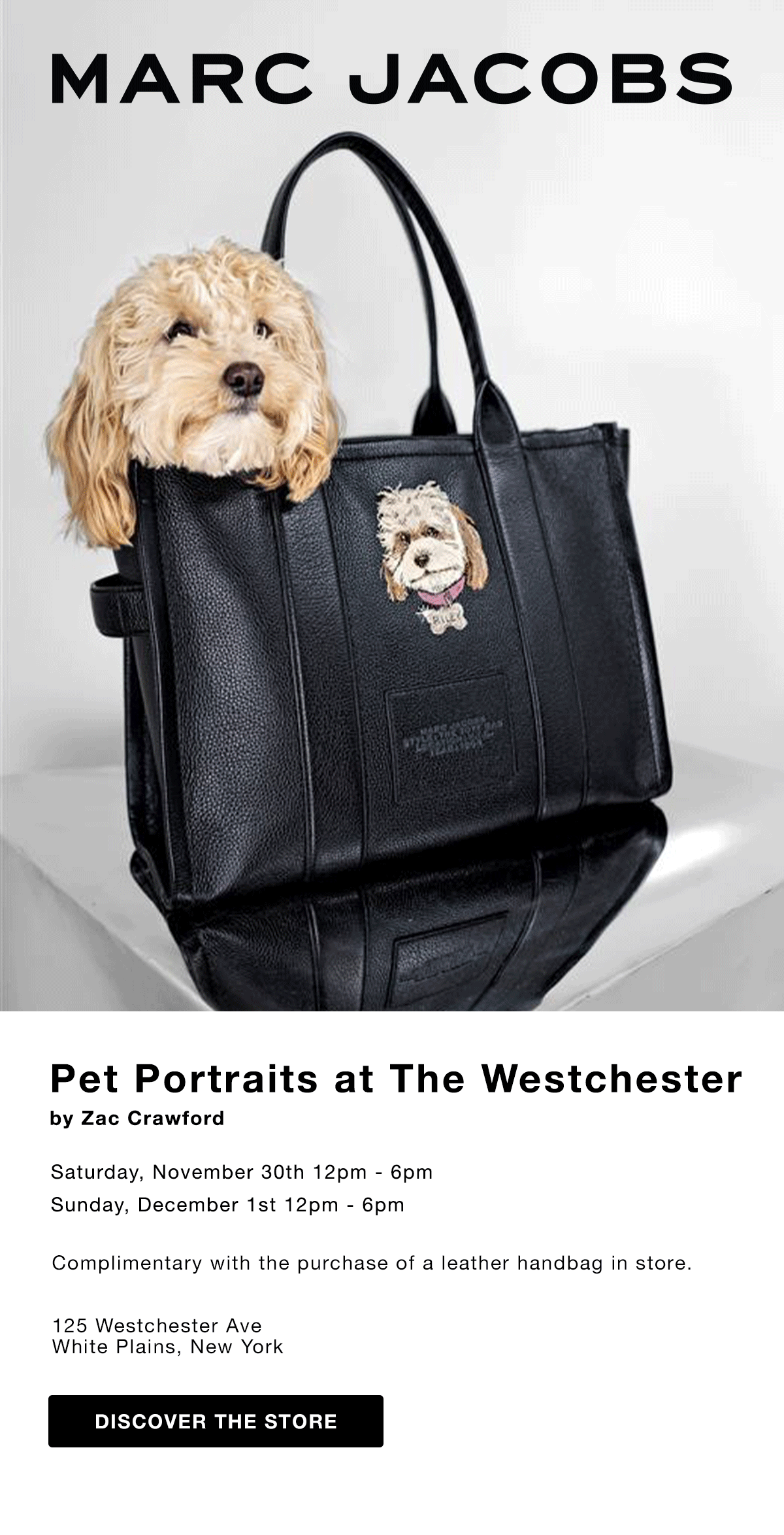 Marc Jacobs: Pet Portraits At The Westchester | Milled