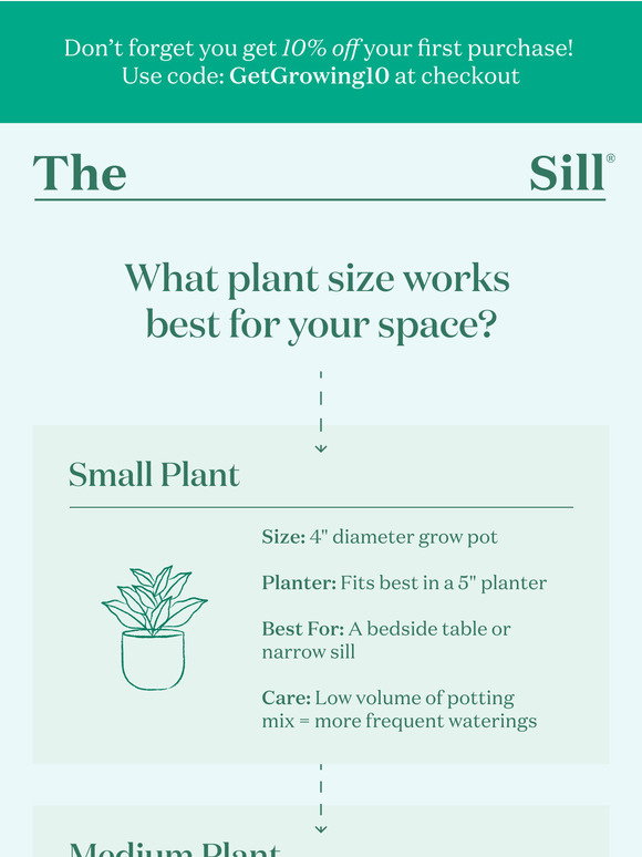 The Sill: What plant size is right for you? | Milled