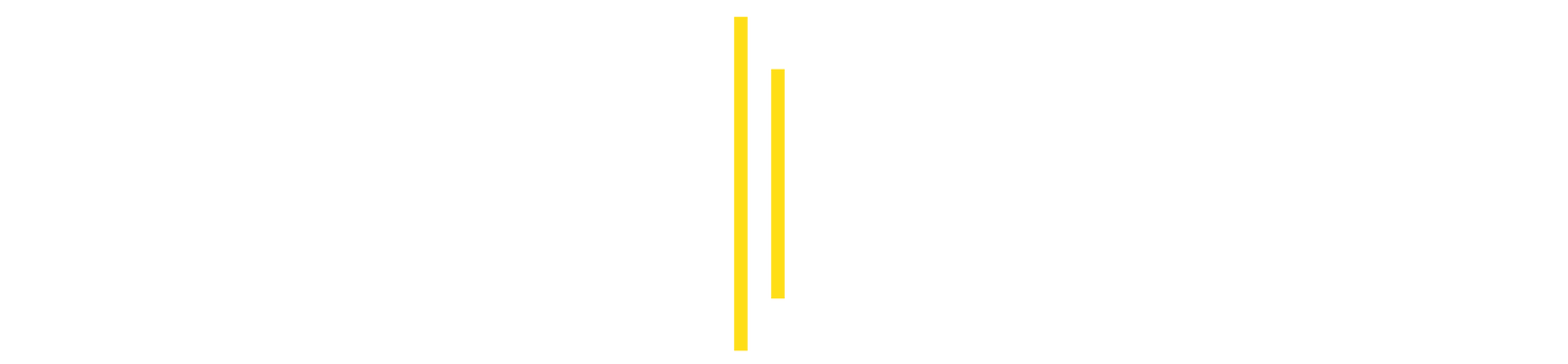 Visual Artists Association: Sharing Artists 2024 Successes | FREE ...