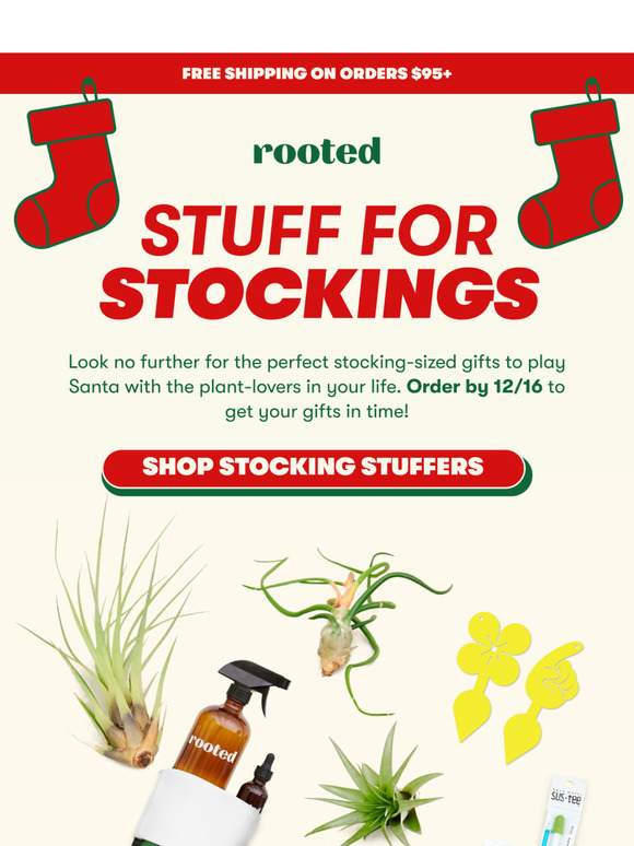 Rooted: Stocking stuffers for plant lovers 🧦🌱 | Milled