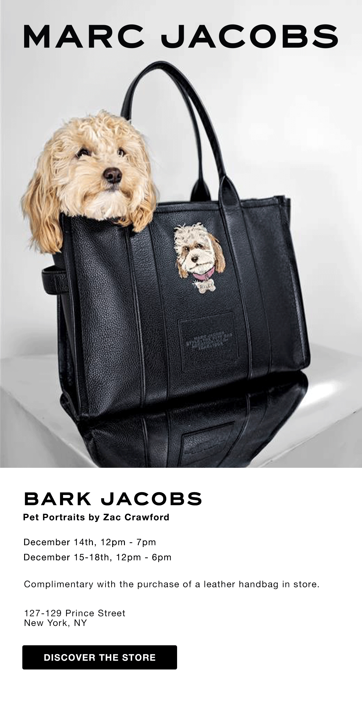 Marc Jacobs: Pet Portraits At Prince Street | Milled