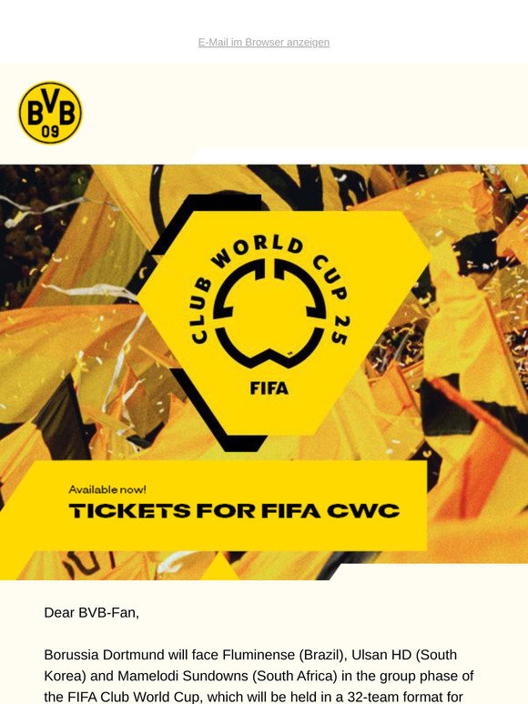 Borussia Dortmund: Tickets for FIFA Club World Cup | Milled