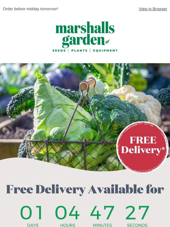 Marshalls Seeds: Get Your Brassicas Delivered for Free | Milled