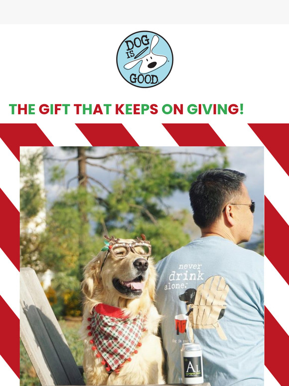 Dog is Good: 🎁Cheers to the Ones Who Make Every Day Special—Our Dogs!🐾 ...