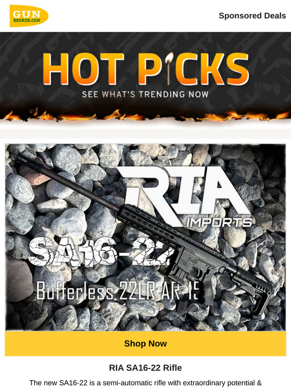 GunBroker: Hot Picks: SA16-22 Rifle from RIA Imports and CMMG's Dissent Mk47 | Milled