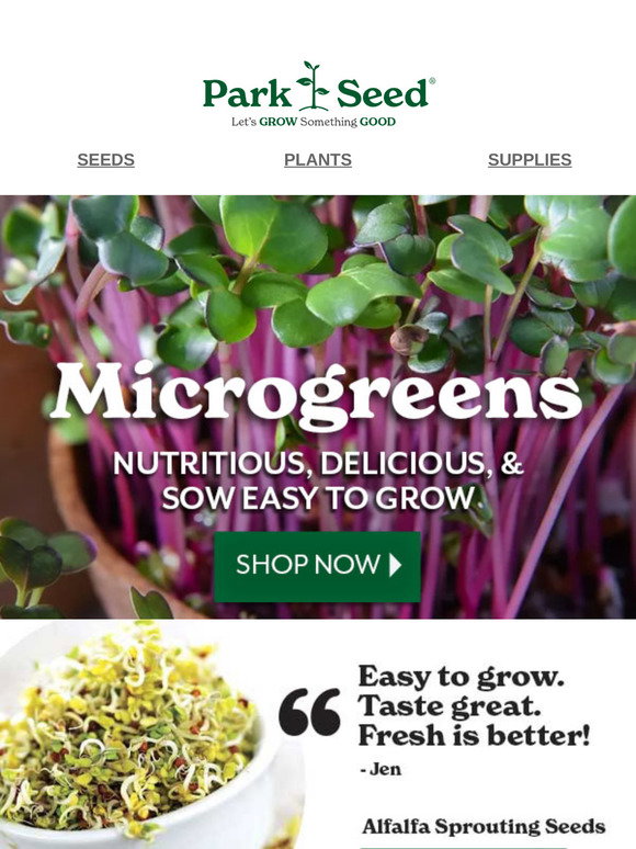 Park Seed: Grow Green in 2025! 🌱 | Milled