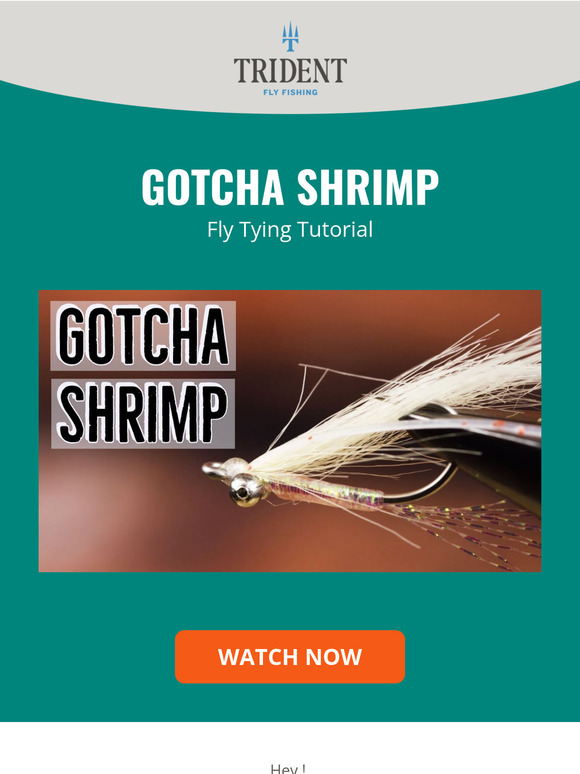 Trident Fly Fishing: How to Tie the Gotcha Shrimp | Milled