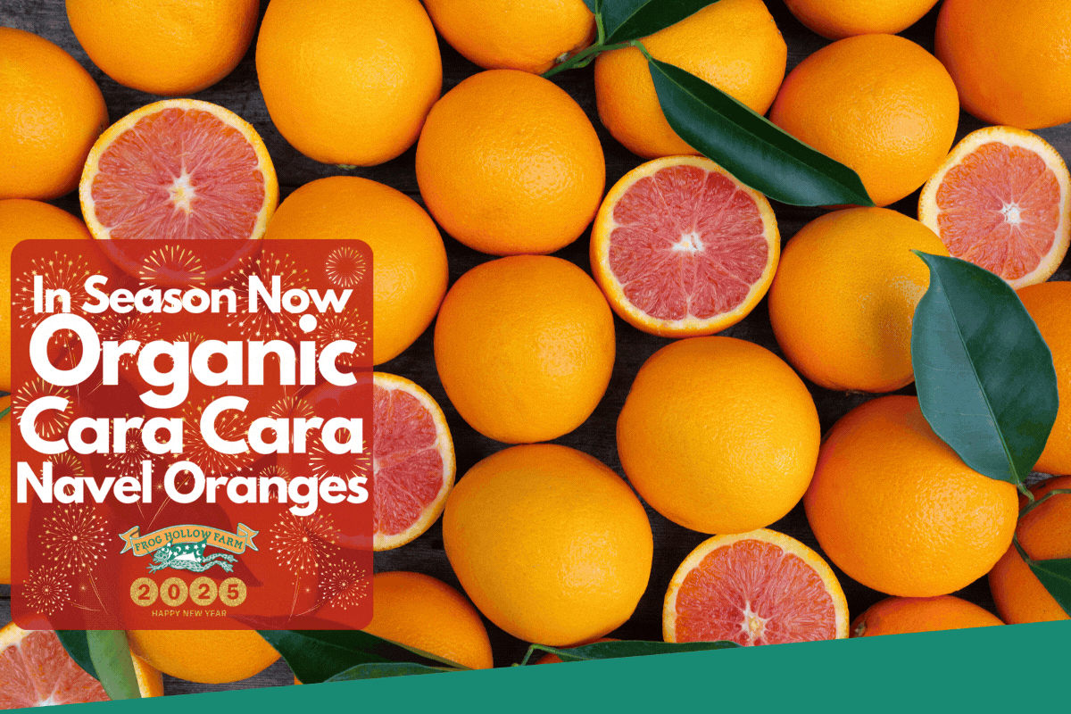 Frog Hollow Farm: Organic Cara Cara Navel Oranges! 🥳🍊 Super Sweet! | Milled