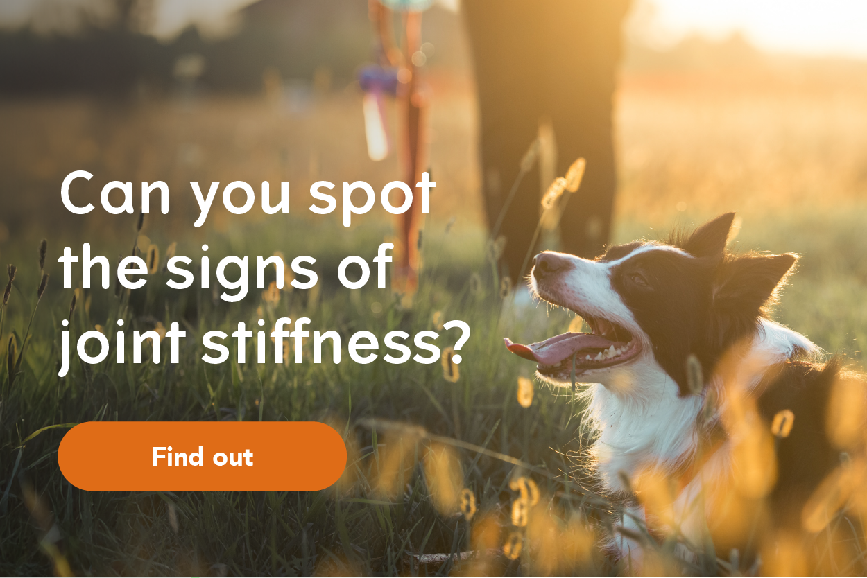 YuMOVE: Spotting the signs of joint stiffness | Milled