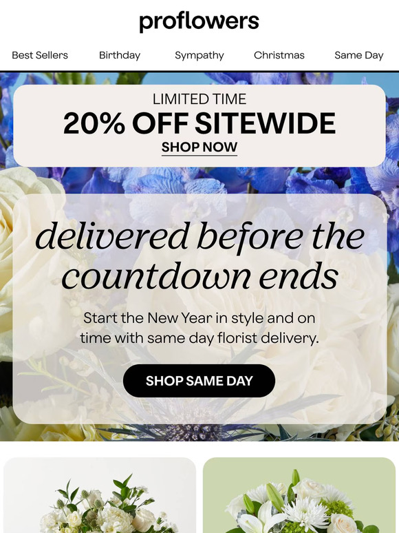 ProFlowers: Bring in the New Year with 20% Off Flowers & More! | Milled