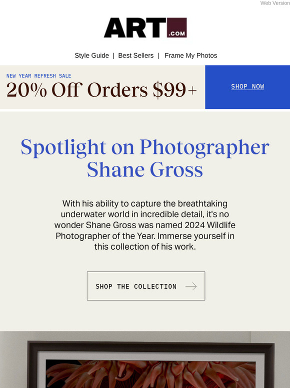 Art.com: Meet Shane Gross, Wildlife Photographer of 2024 | Milled