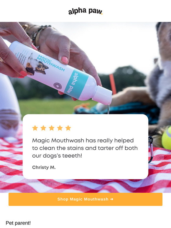 Alpha Paw: 🐶 2025 Goal: Protect your dog's teeth from disease | Milled