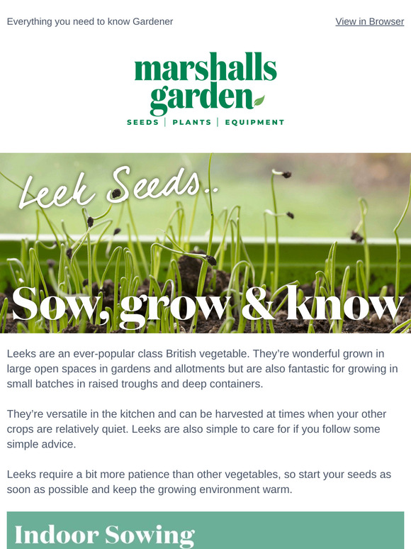 Birds & Bees: Sow, Grow & Know: Your Guide to Leek Seeds | Milled