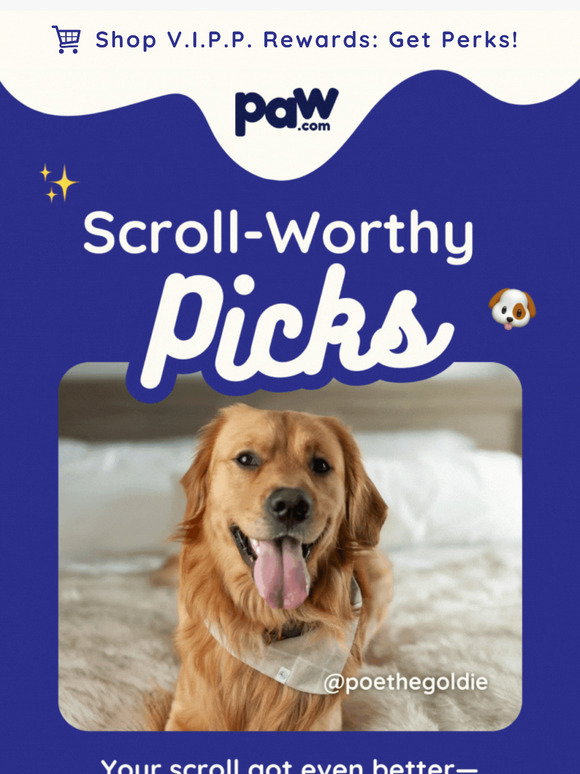 Paw: Spotted: PAW-some Moments From You! 🐶📸 | Milled