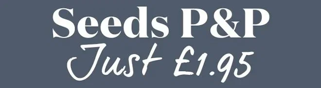 Marshalls Seeds: Sow, Grow & Know: Your Guide to Leek Seeds | Milled