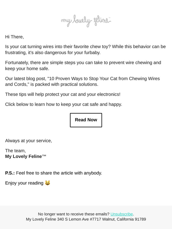 My Lovely Feline: Is Your Cat Chewing Wires? Here’s How to Stop It 🐾 ...