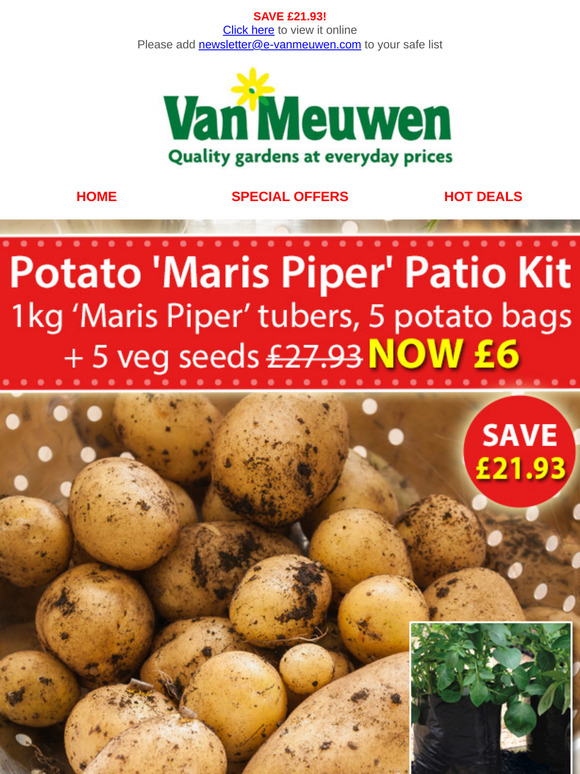 Van Meuwen: Patio Potato Kit ONLY £6 | Milled