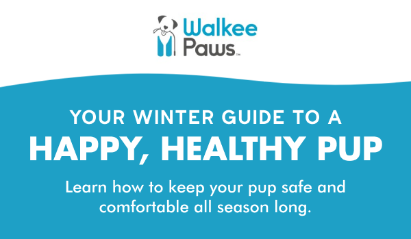 Walkee Paws: Winter guide | Milled