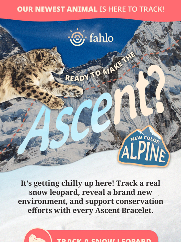 Fahlo: SNOW LEOPARDS are here! 🐆🤍 | Milled