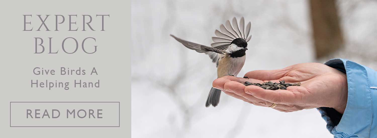 Agriframes: Give Birds a Helping Hand | Bird Feeders Collection | Milled