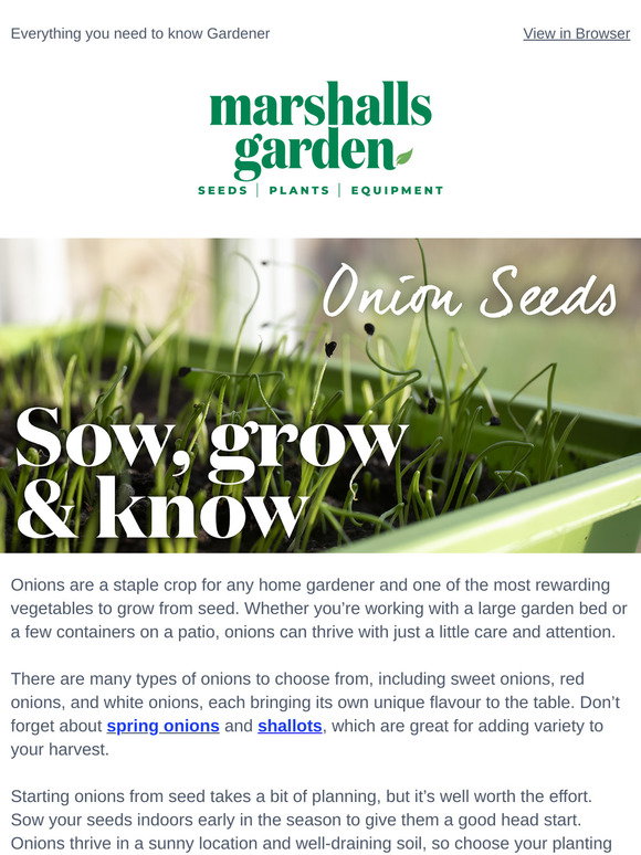 Marshalls Garden: Sow, Grow & Know: Your Guide to Onion Seeds | Milled