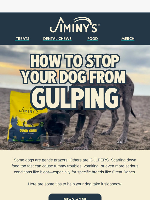 Jiminys: Does your dog GULP? | Milled
