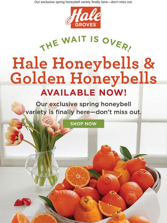 Hale Groves: Hale Honeybells & Golden Honeybells Are Available NOW ...