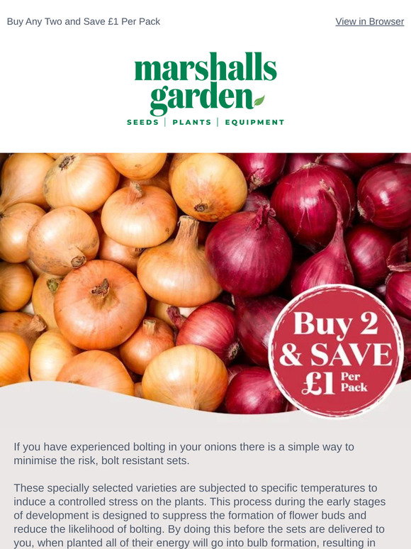 Marshalls Seeds: Super-Charged Bolt Resistant Onions | Milled