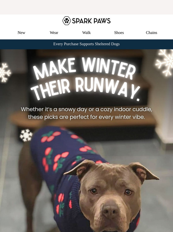 Spark Paws: Winter Style for Every Pup—Cozy, Cute & Functional! ️ | Milled