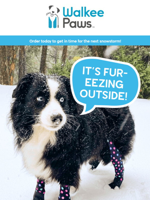 Walkee Paws: A new winter storm is coming | Milled