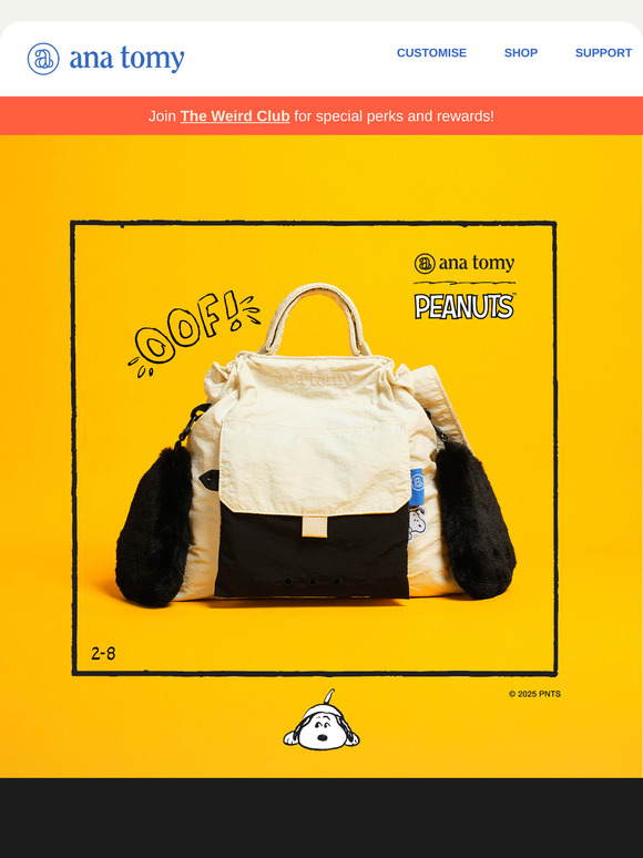 Ana Tomy: Here’s everything you need to know about the Snoopy City Bag ...