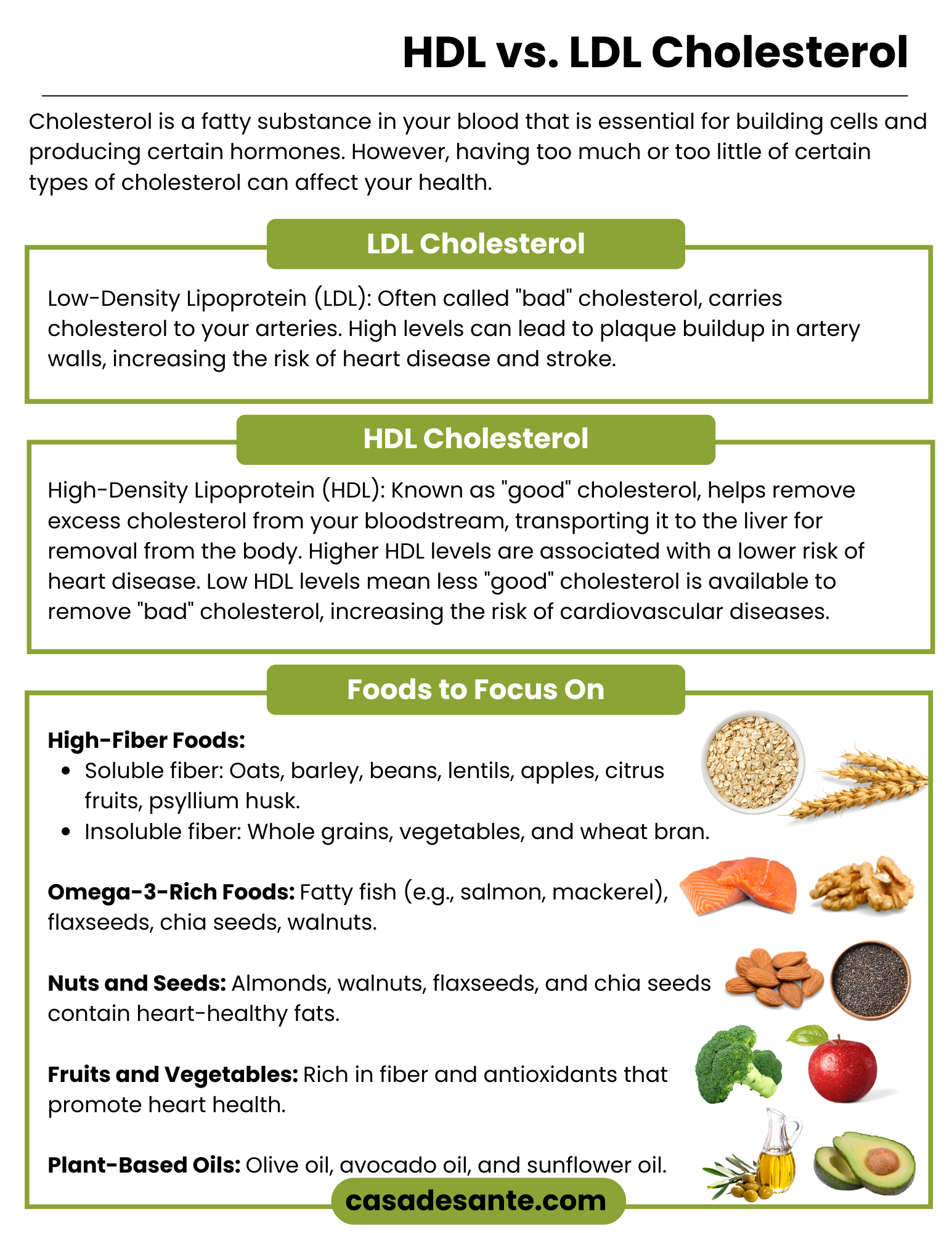 Casa de Sante: Demystifying Cholesterol: The Good, the Bad & What You ...