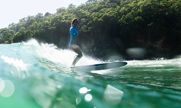 The Guardian: Spineless superstars | The Guardian | Milled