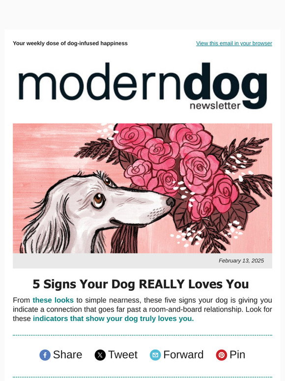 Modern Dog: 5 Subtle Signs That Your Dog Adores You 💖 | Milled