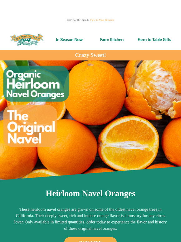 Frog Hollow Farm: Rare Heirloom Navel Oranges! 🍊Crazy Sweet! | Milled