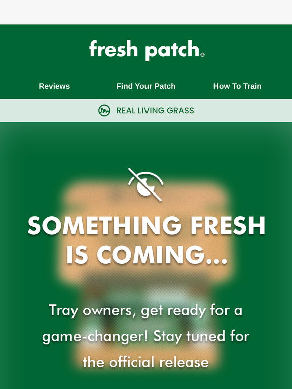 Fresh Patch: Something NEW Is Coming… 👀🐶 | Milled