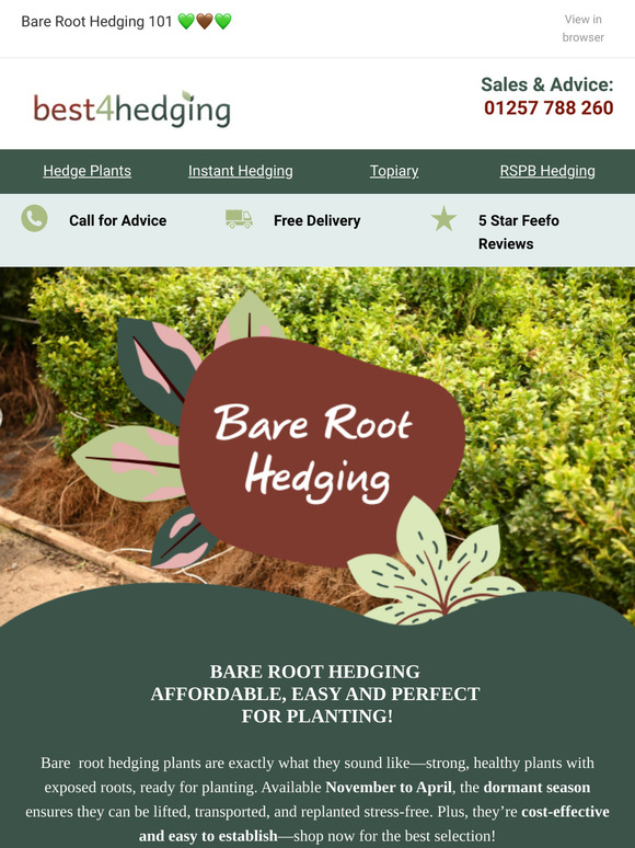 Best4hedging: 🌿 Your Guide To Bare Root Hedging 🌿 | Milled