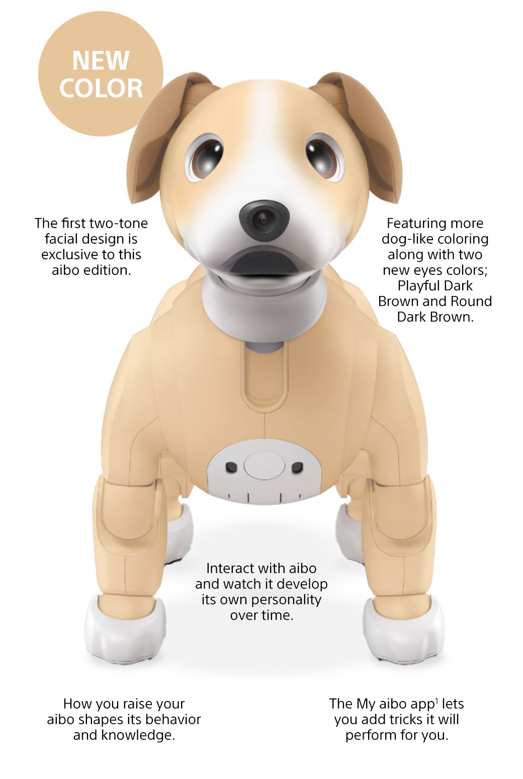 Sony: Introducing aibo Kinako Edition – A New Color To Love | Milled