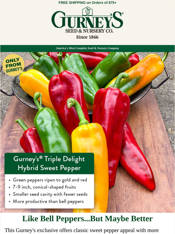 Gurney's Seed & Nursery: Get 3 pepper colors from a single plant! | Milled